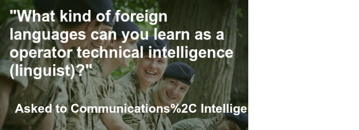 What kind of foreign languages can you learn as a operator technical ...