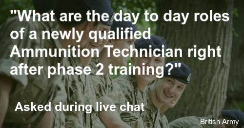 What are the day to day roles of a newly qualified Ammunition ...
