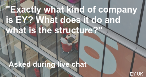 Exactly what kind of company is EY? What does it do and what is the ...