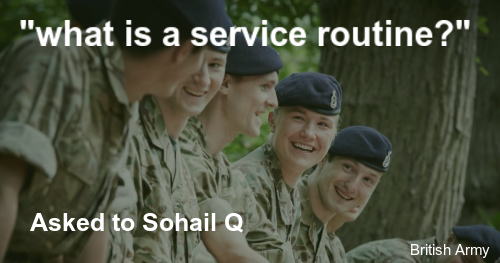 what is a service routine? | British Army
