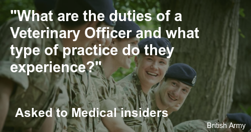 What are the duties of a Veterinary Officer and what type of practice ...