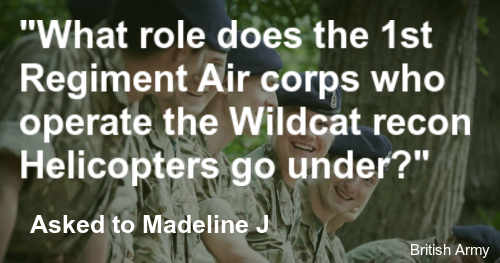 What role does the 1st Regiment Air corps who operate the Wildcat recon ...