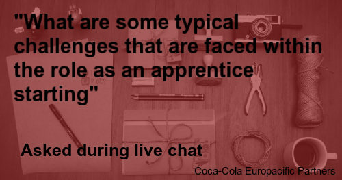 What are some typical challenges that are faced within the role as an ...