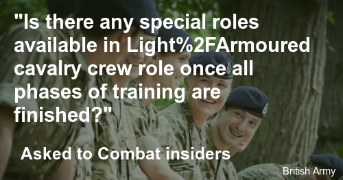 Is there any special roles available in Light/Armoured cavalry crew ...