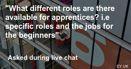 What different roles are there available for apprentices? i.e specific ...